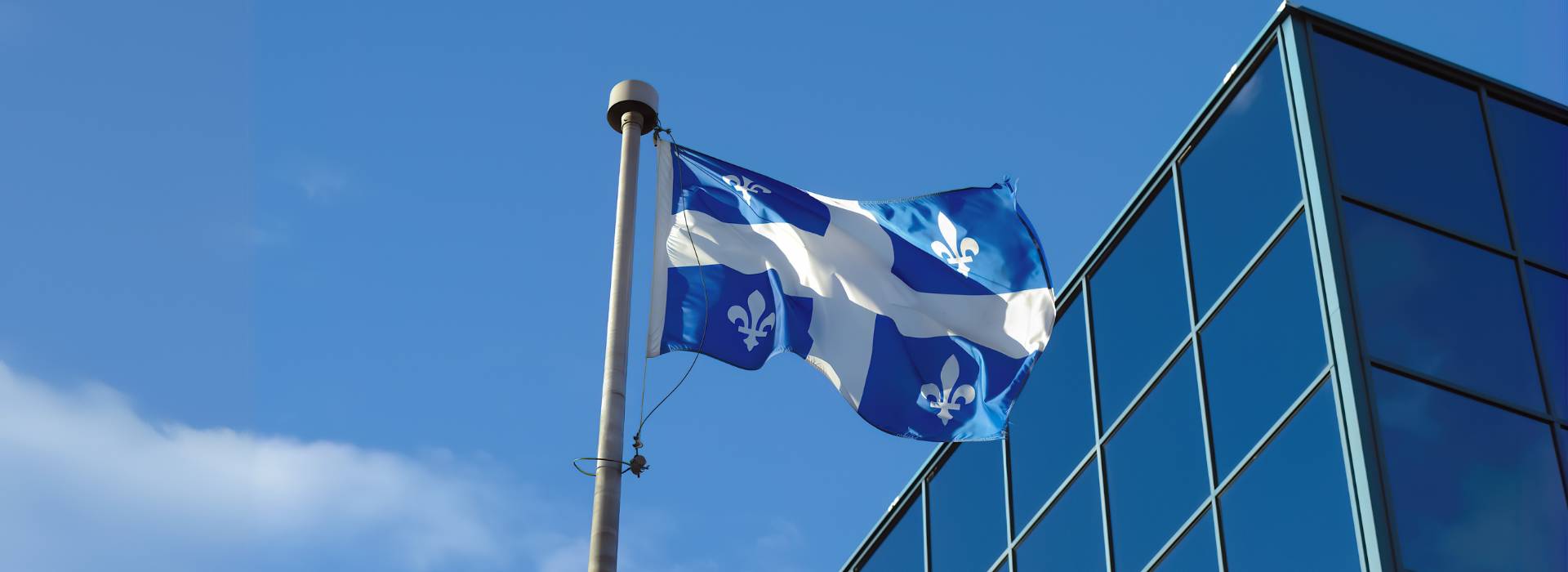 Quebec’s French language requirements for commerce and business: reform ...