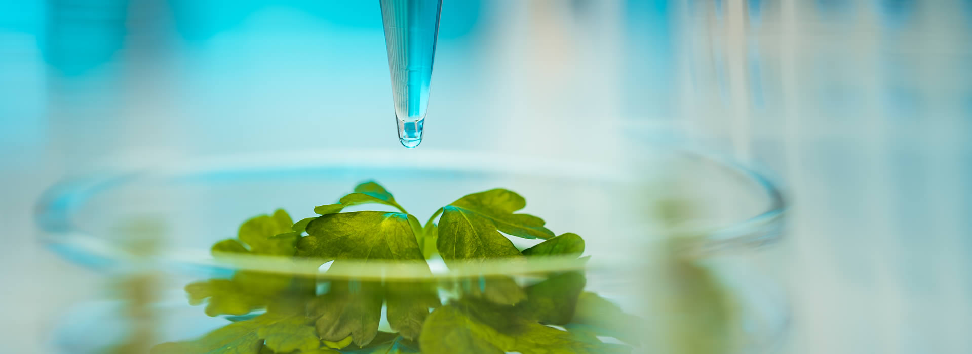 Agricultural Sciences