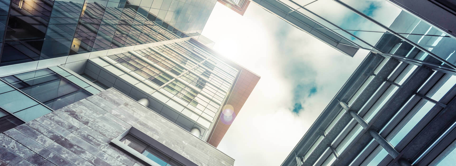 IP Litigation & Enforcement